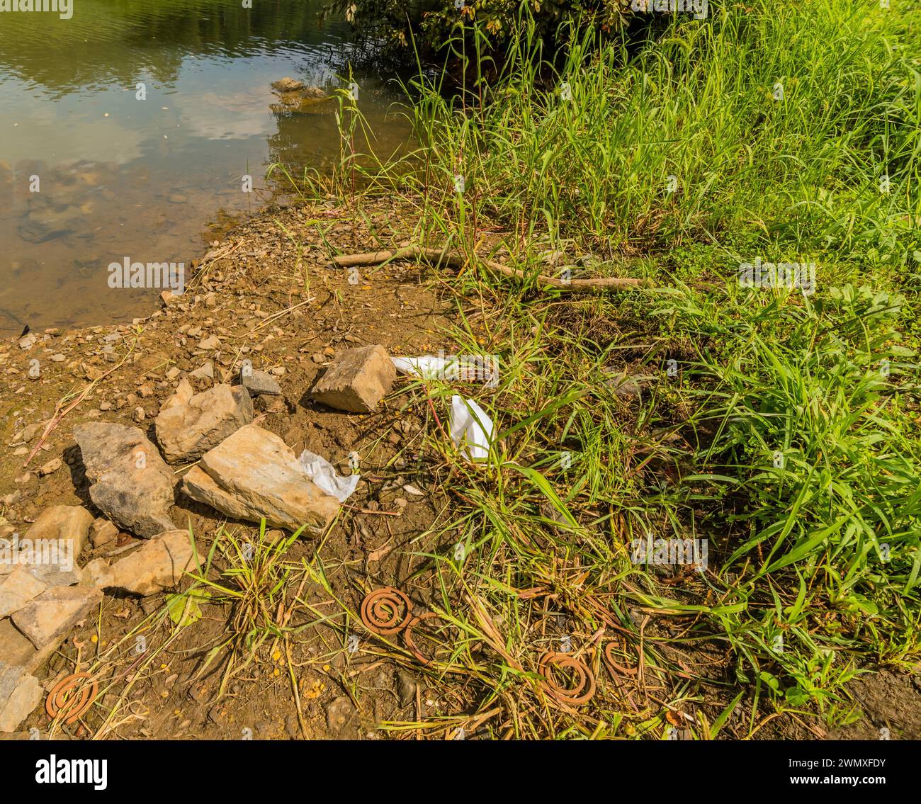 Litter on the grassy riverbank highlights ongoing environmental ...