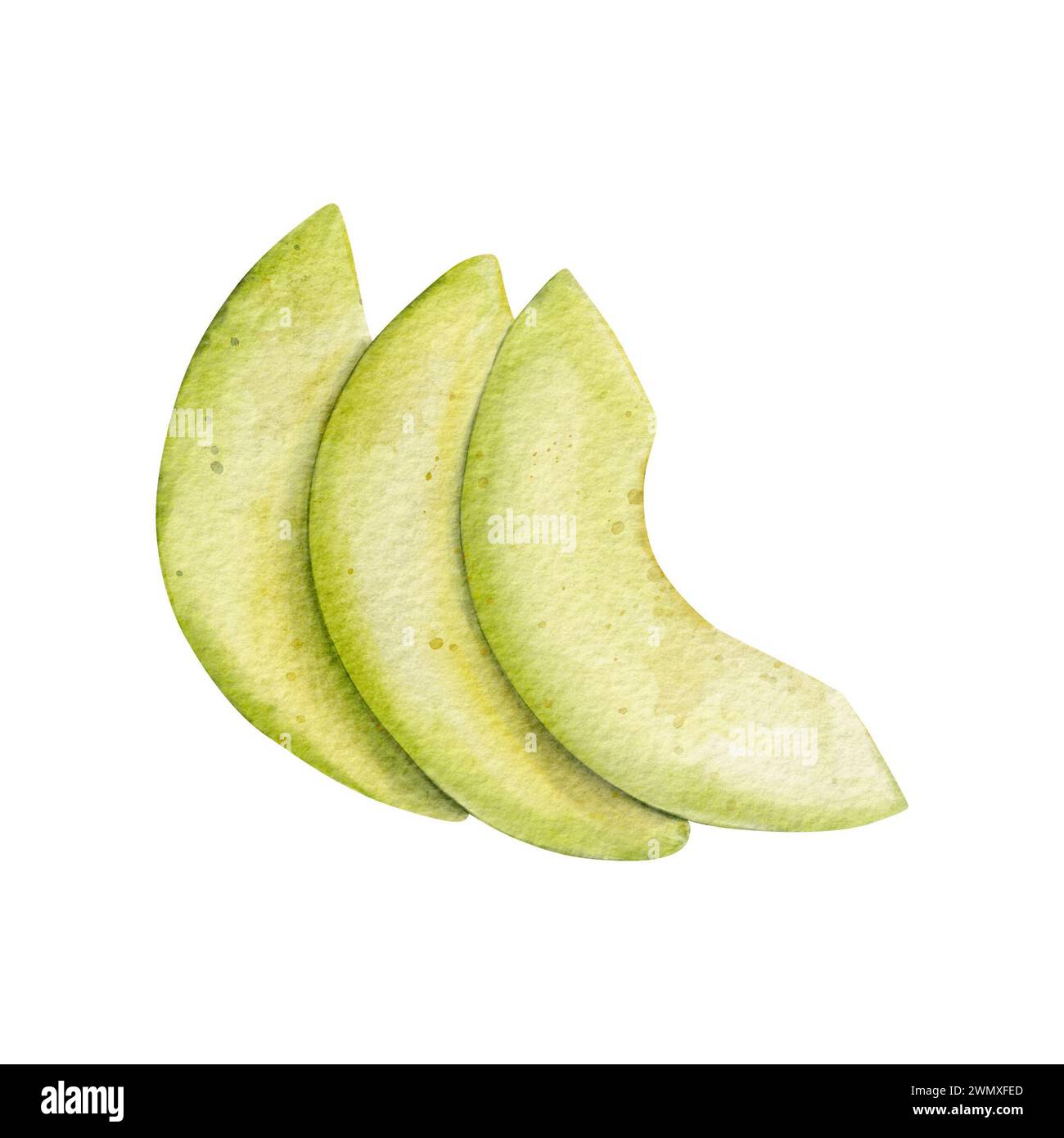 Slice Avocado Watercolor illustration. Hand drawn clipart on isolated ...