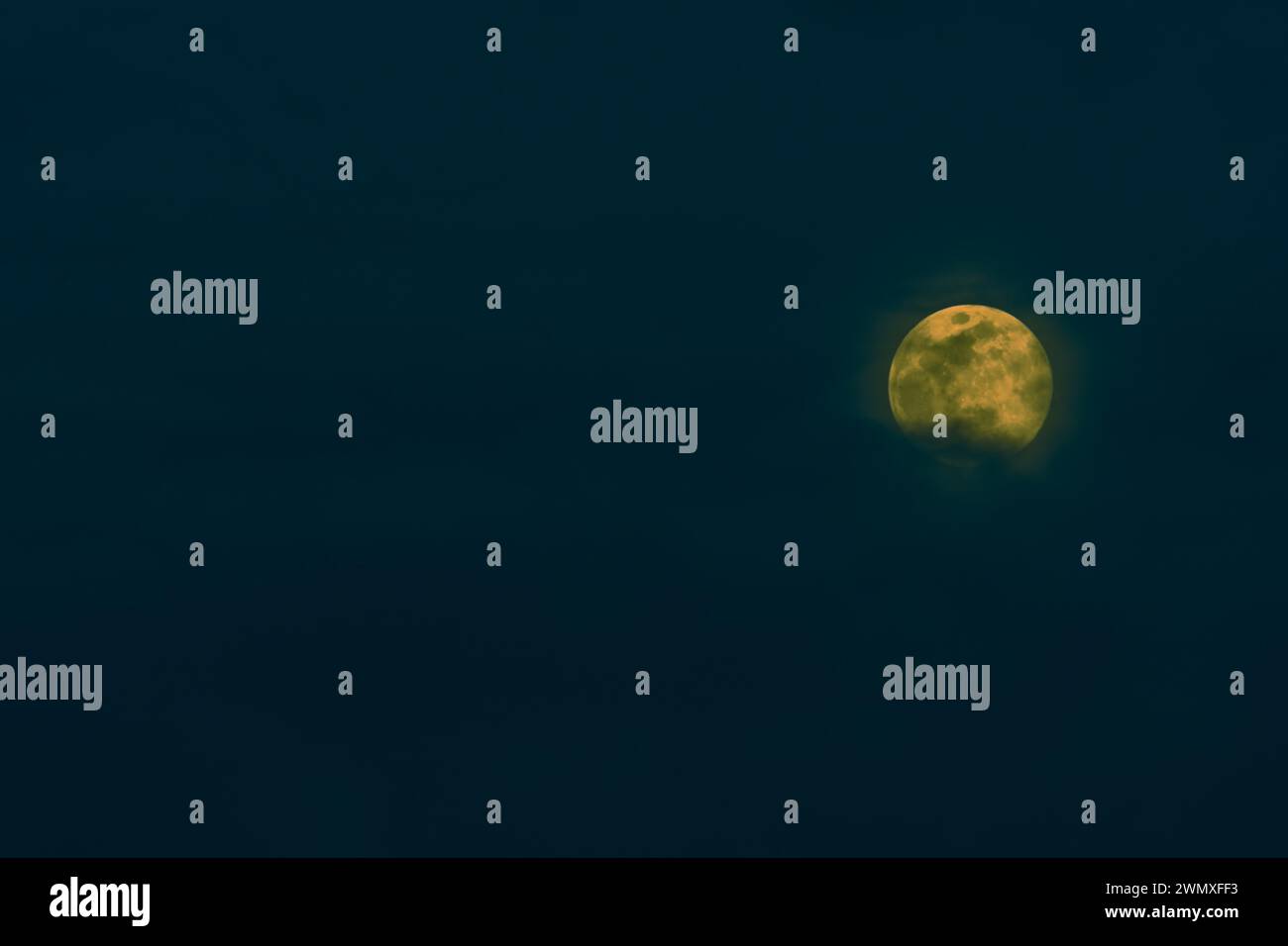 Bright yellow full moon behind clouds in a blue sky at blue hour just ...