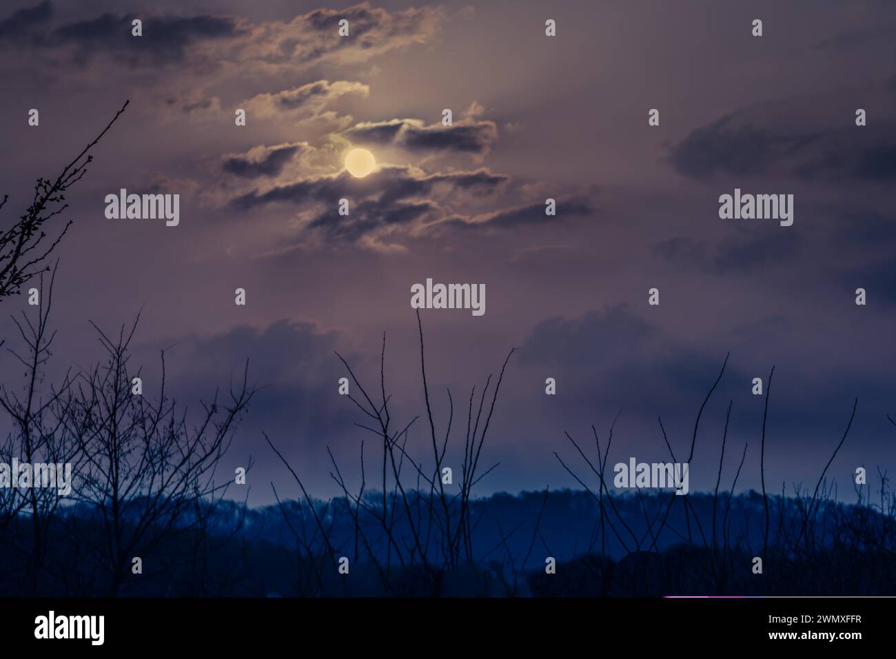Eerie detail hi-res stock photography and images - Alamy