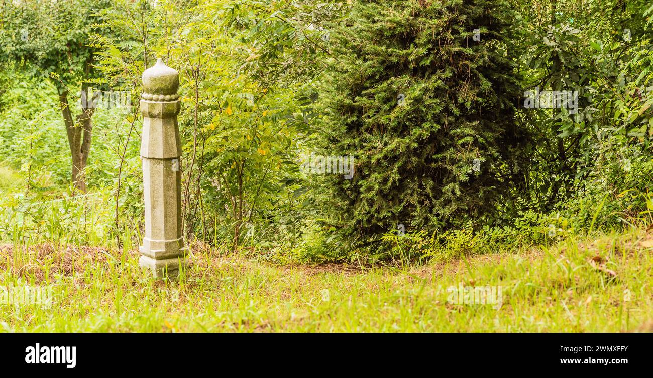 Traditional south korean tree hi-res stock photography and images - Alamy