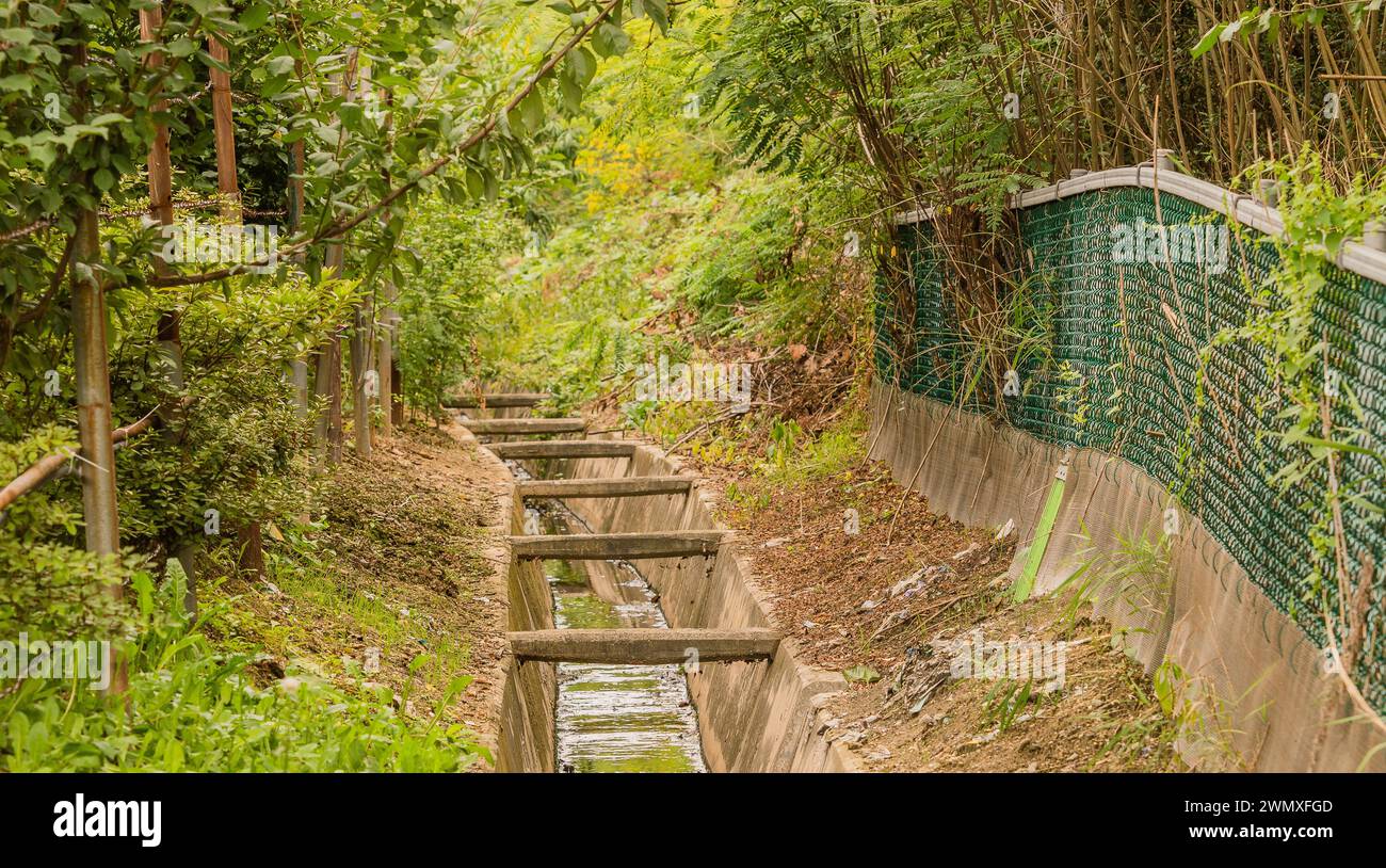 A concrete drainage ditch running alongside a green natural area, in ...