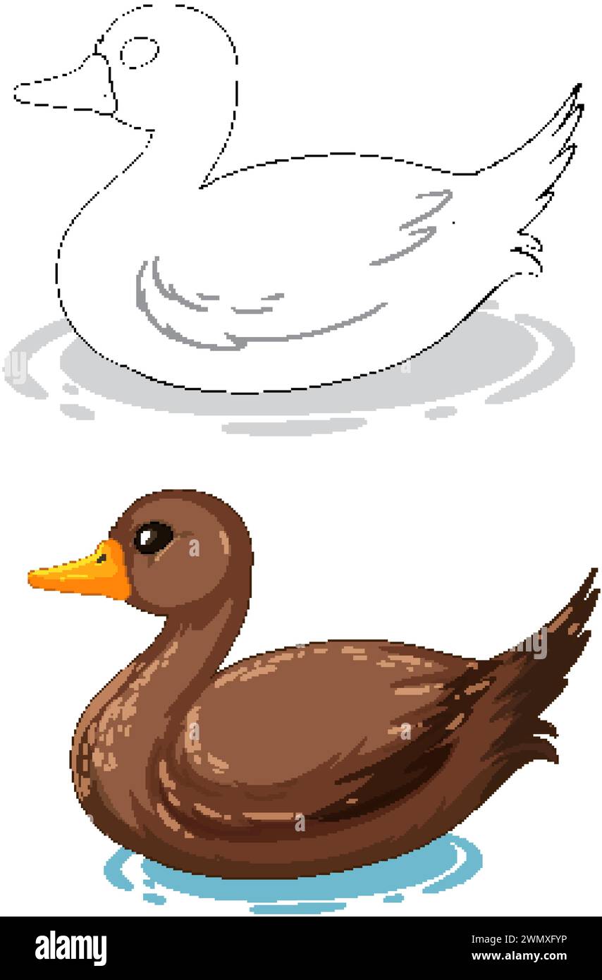 Two stylized ducks floating peacefully on water Stock Vector Image ...