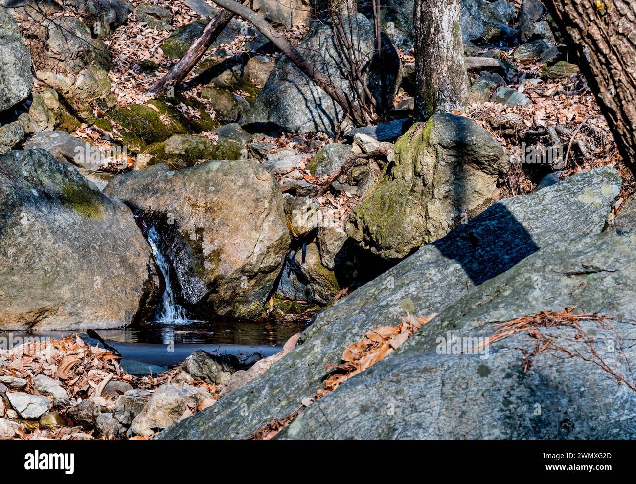 Small stream flowing between two boulders in rugged wilderness, in ...