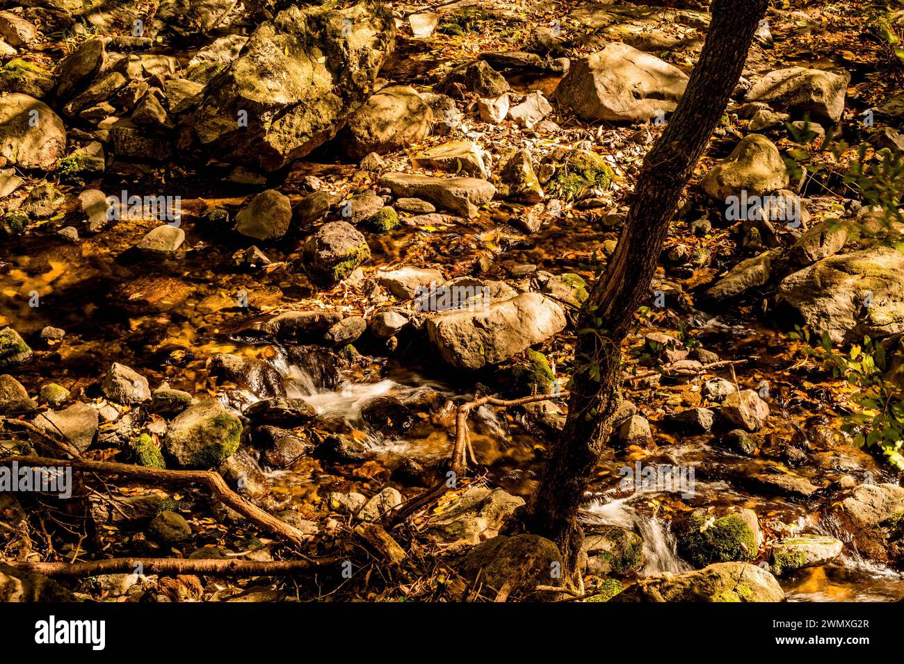 Pool of clear water from mountain stream flowing over stones, in South ...