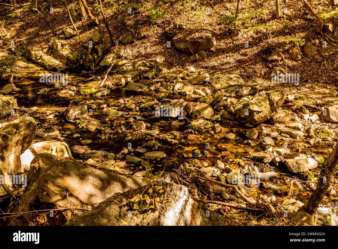 Flowing through stones hi-res stock photography and images - Alamy
