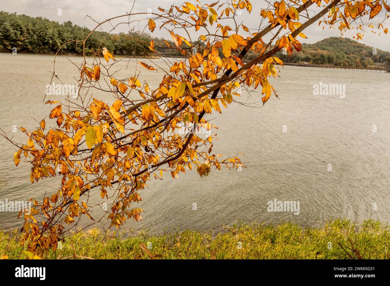Korea color hi-res stock photography and images - Alamy