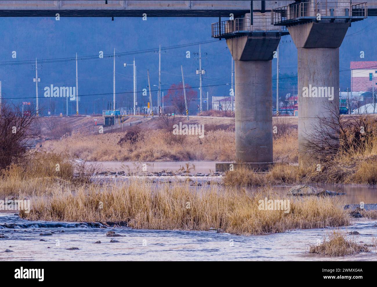 Sparse riverbed vegetation with a bridge and distant buildings under an ...