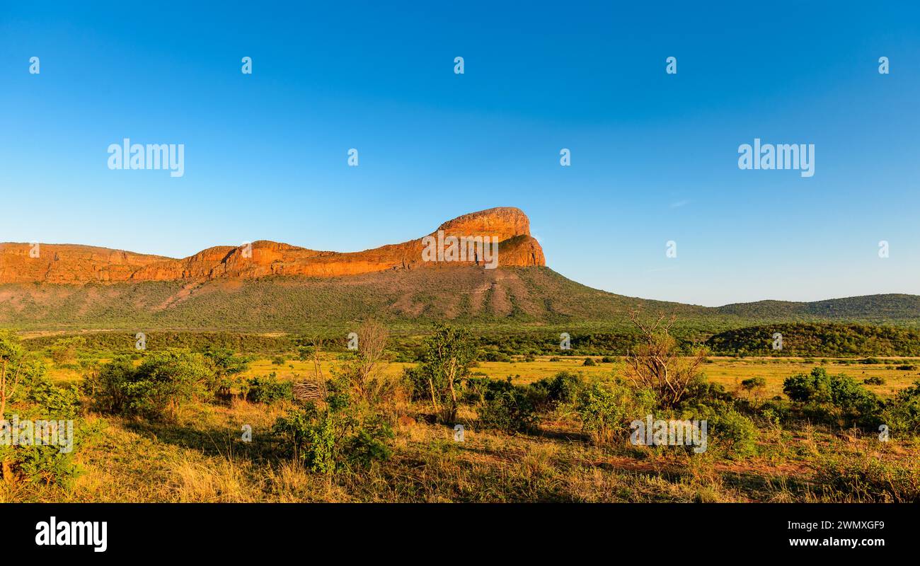 Vast savannah landscape with a striking mountain under a clear blue sky ...
