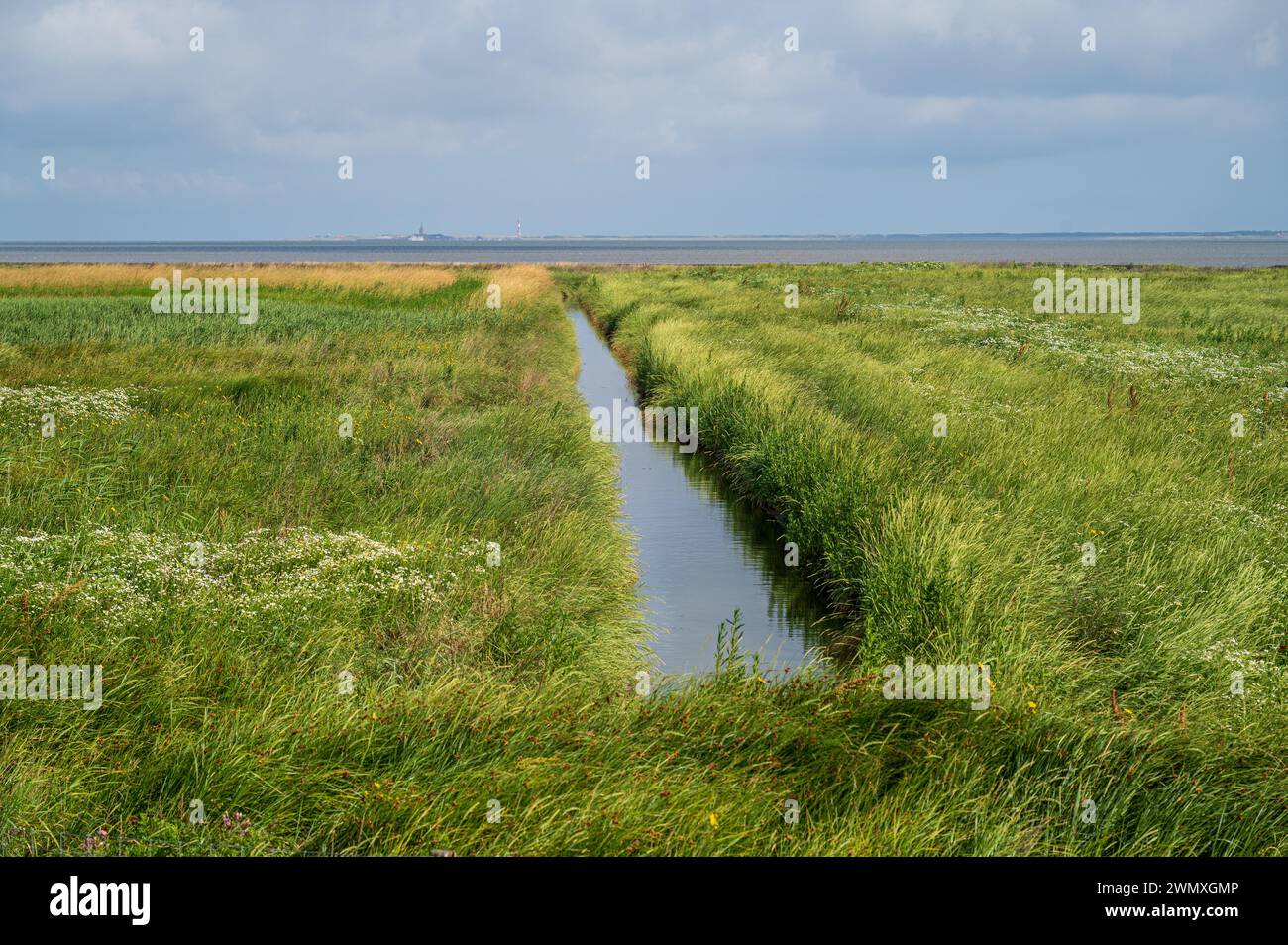 A drainage ditch crosses a green salt marsh under a cloudy sky ...