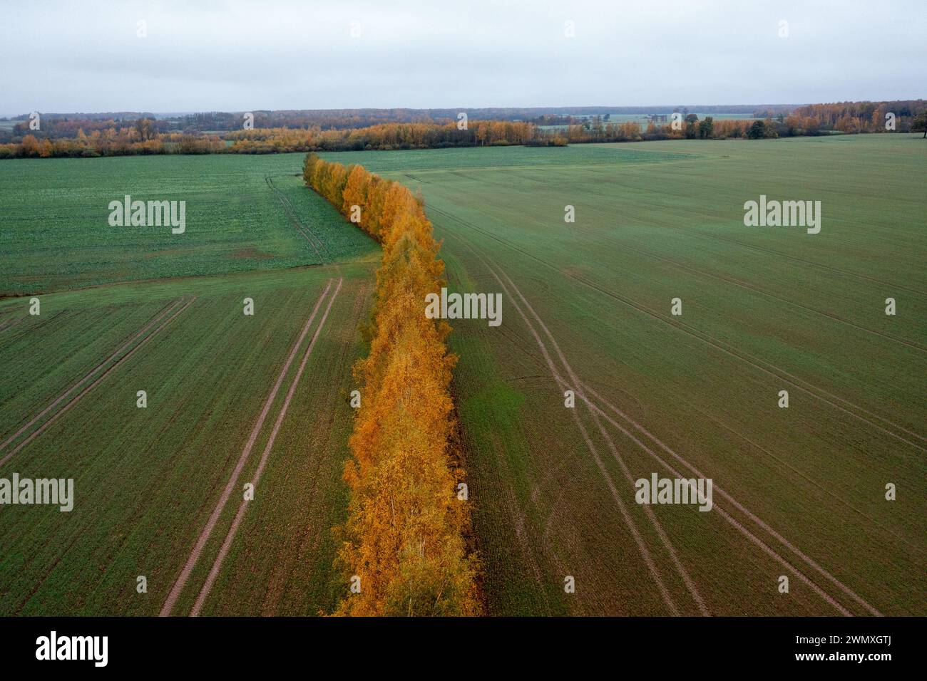 Drone photography of agriculture field and dividing line of trees ...