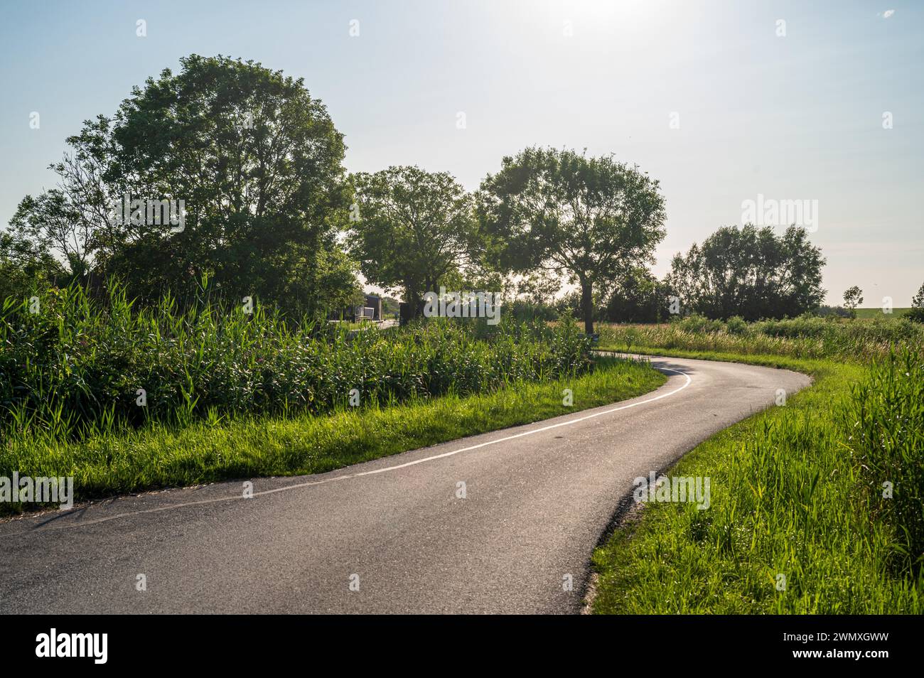 An idyllic country road winds through a rural landscape of green trees and grass, Foerrien ...