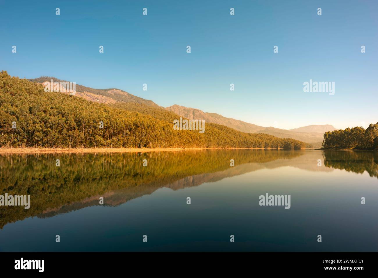 Beautiful, calm, and peaceful lake flanked by thick forest and rolling ...