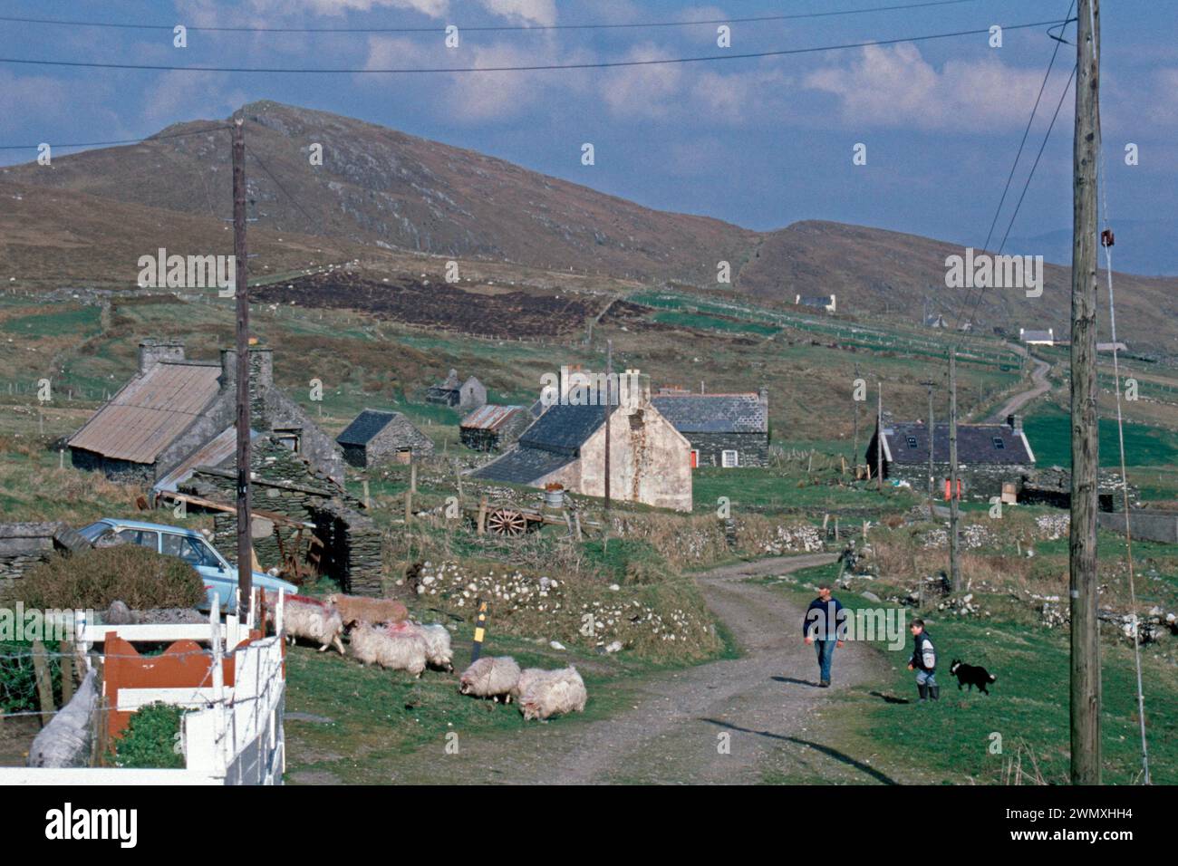 Houses For Sale Bere Island Ireland at Lucile Hart blog