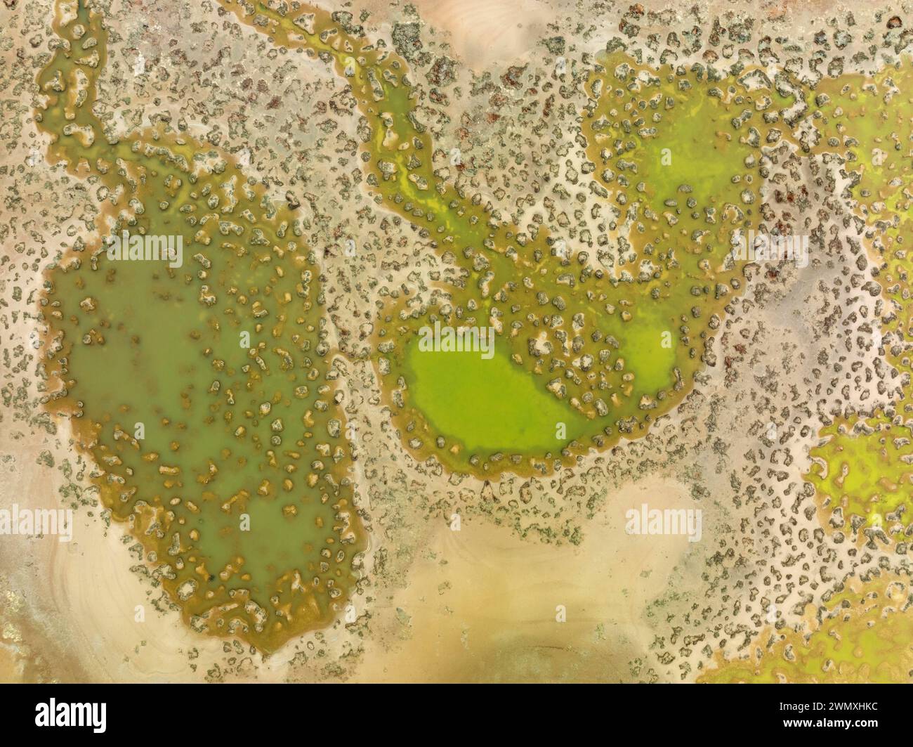 Estero del rincon hi-res stock photography and images - Alamy