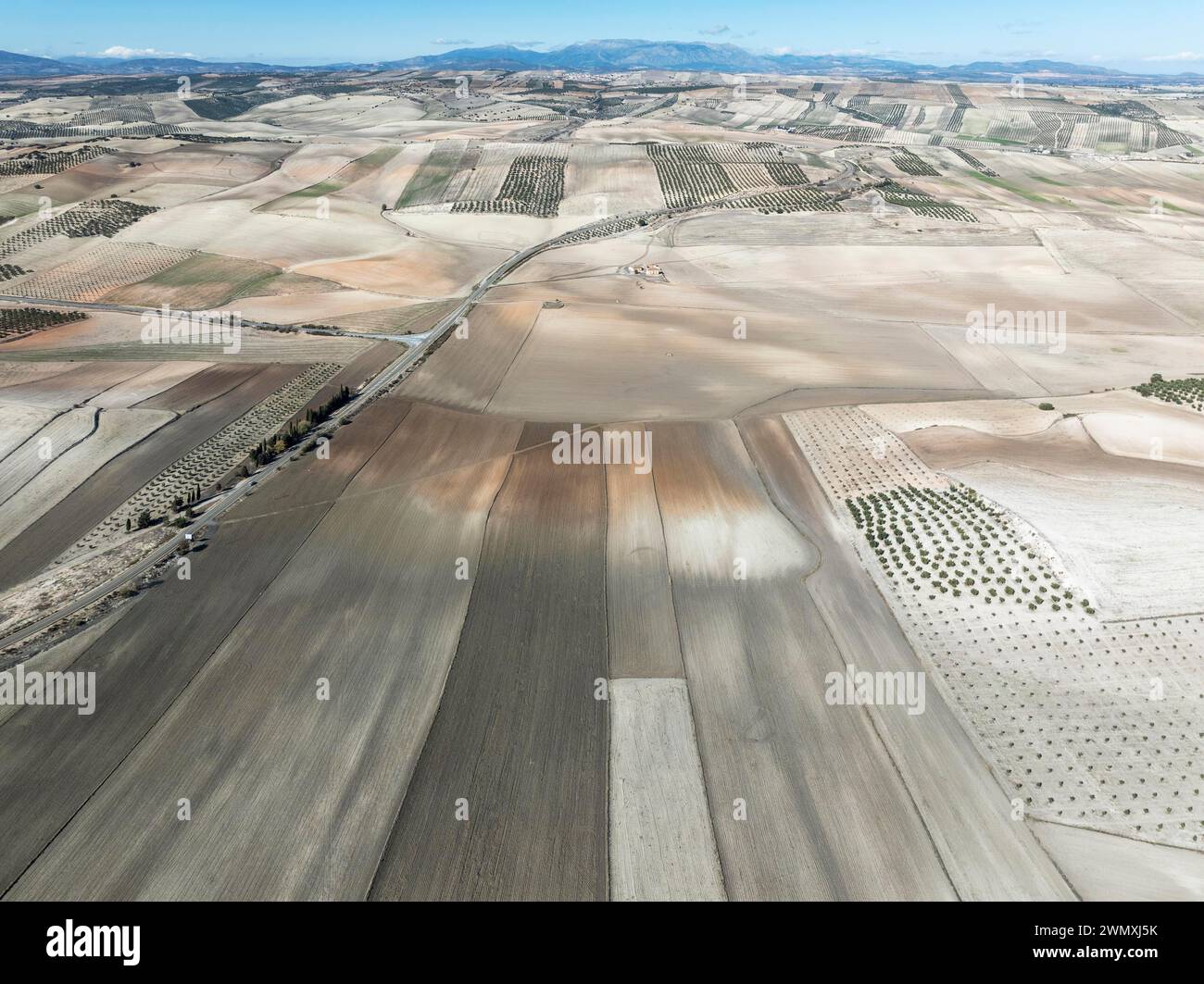 Olive tree view hi-res stock photography and images - Alamy