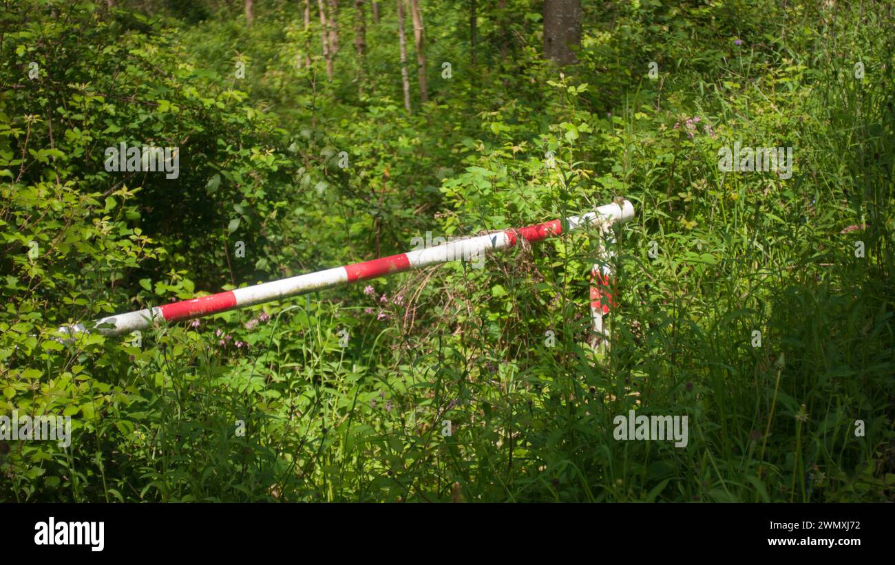 Access forest hi-res stock photography and images - Alamy