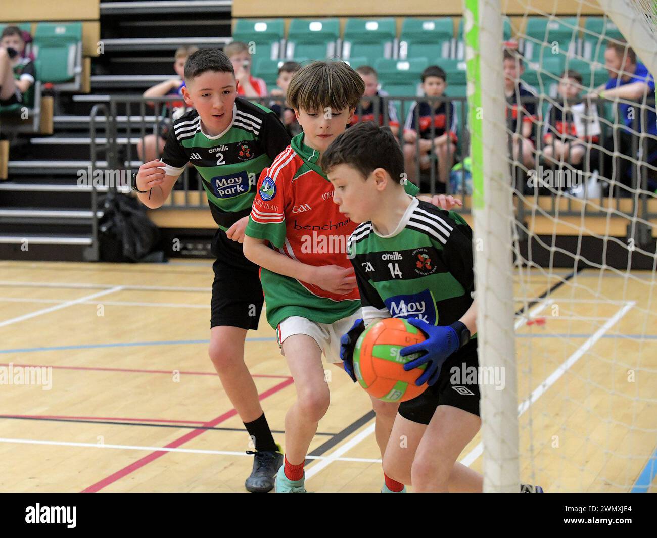 Primary school children take part in the Derry Schools Gaelic Football ...