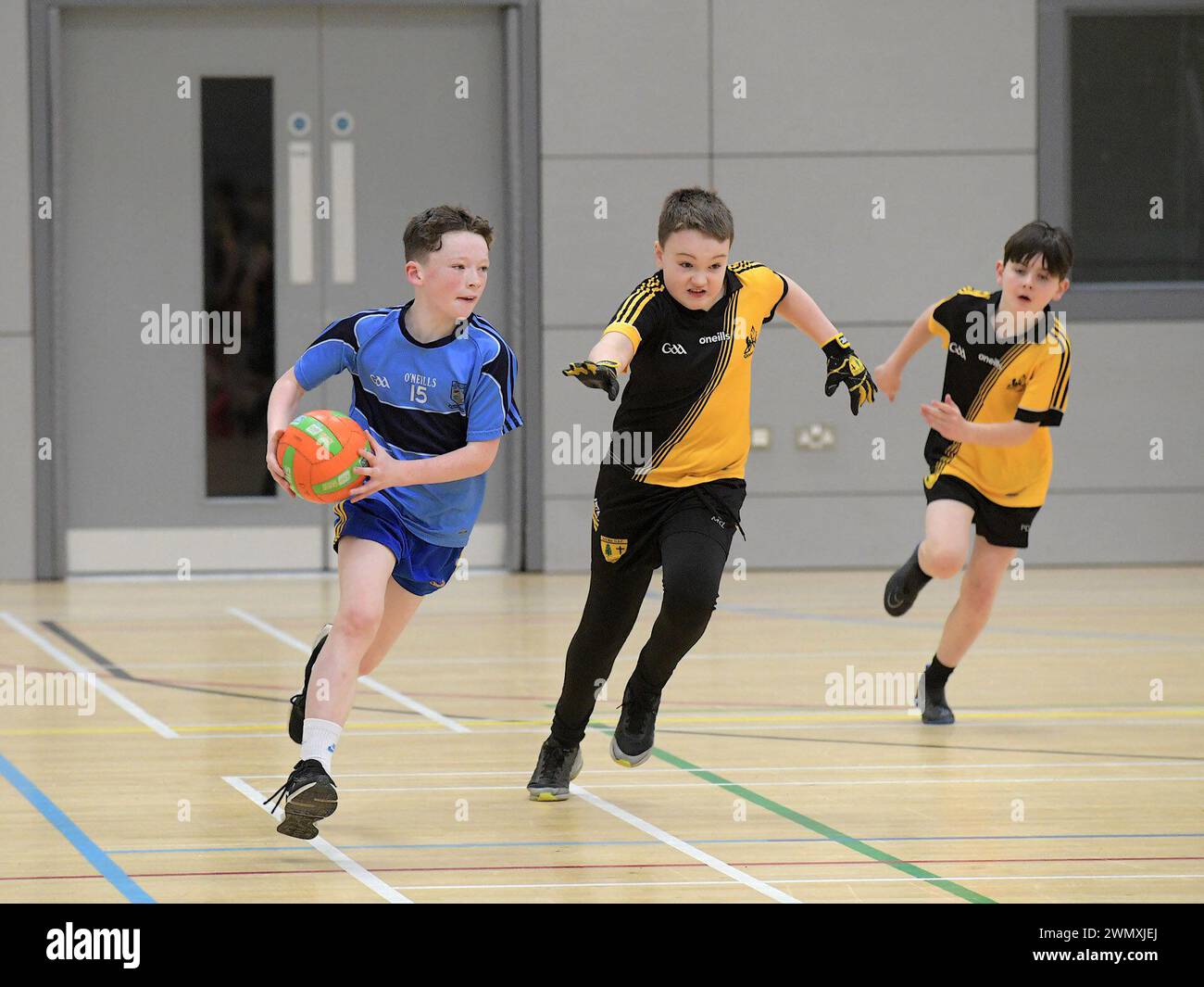 Primary school children take part in the Derry Schools Gaelic Football ...