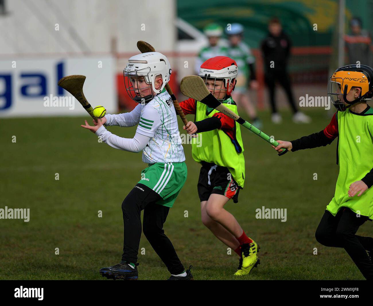 Primary school children from Doire Trasna and Faughanvale GAA clubs ...