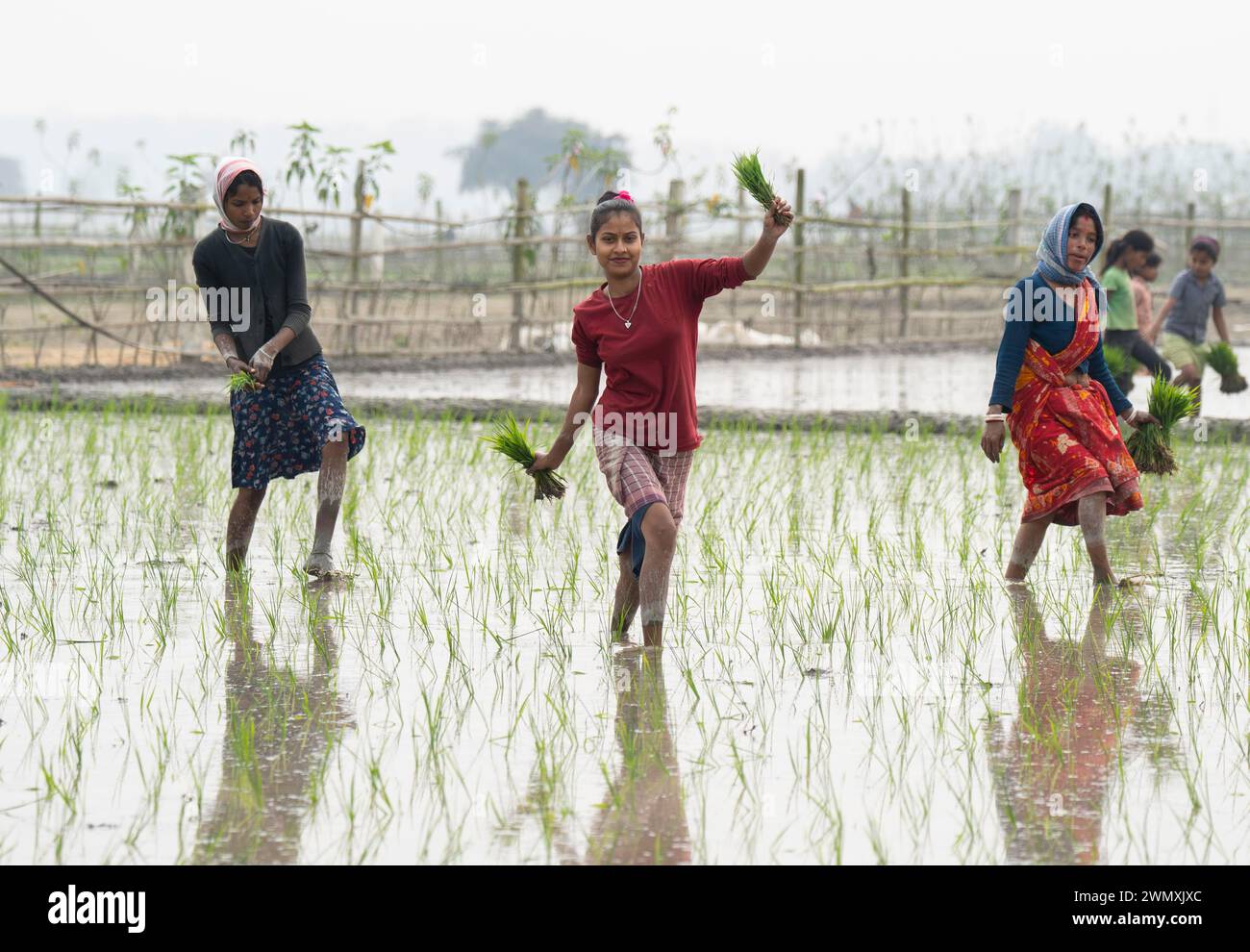Morigaon, India. 20 February 2024. A women pose for photograph holding ...