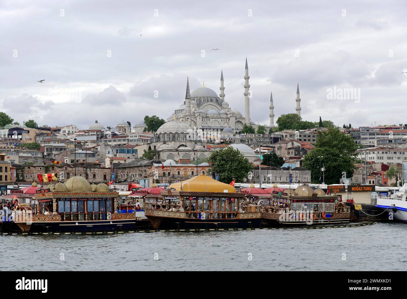 Golden horn view hi-res stock photography and images - Alamy
