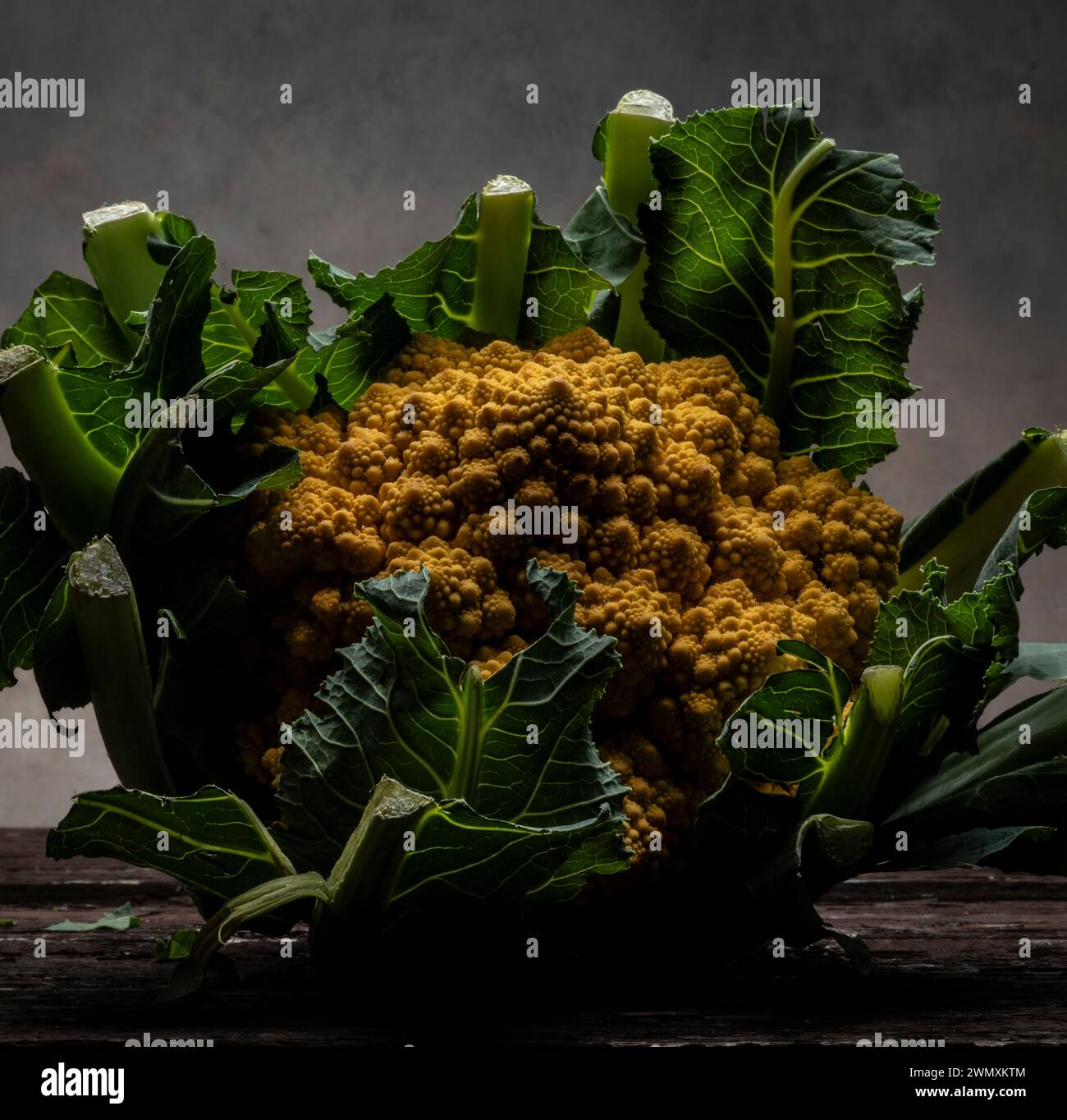 Appairance hi-res stock photography and images - Alamy