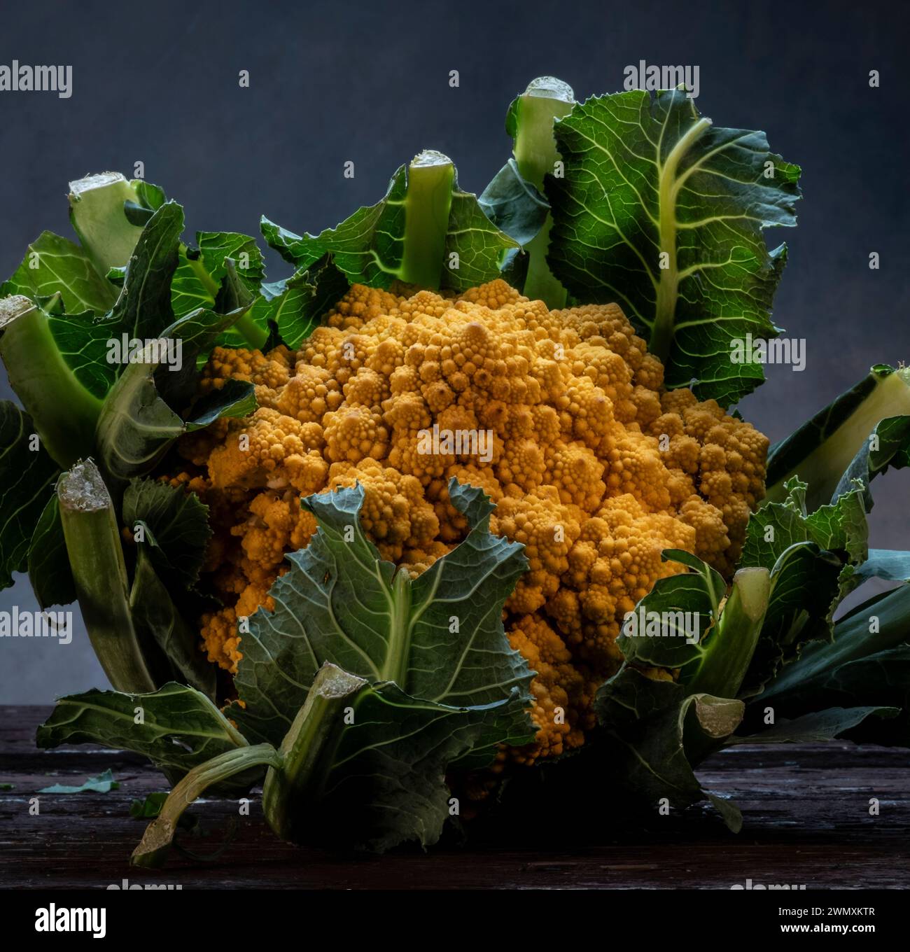 Appairance hi-res stock photography and images - Alamy
