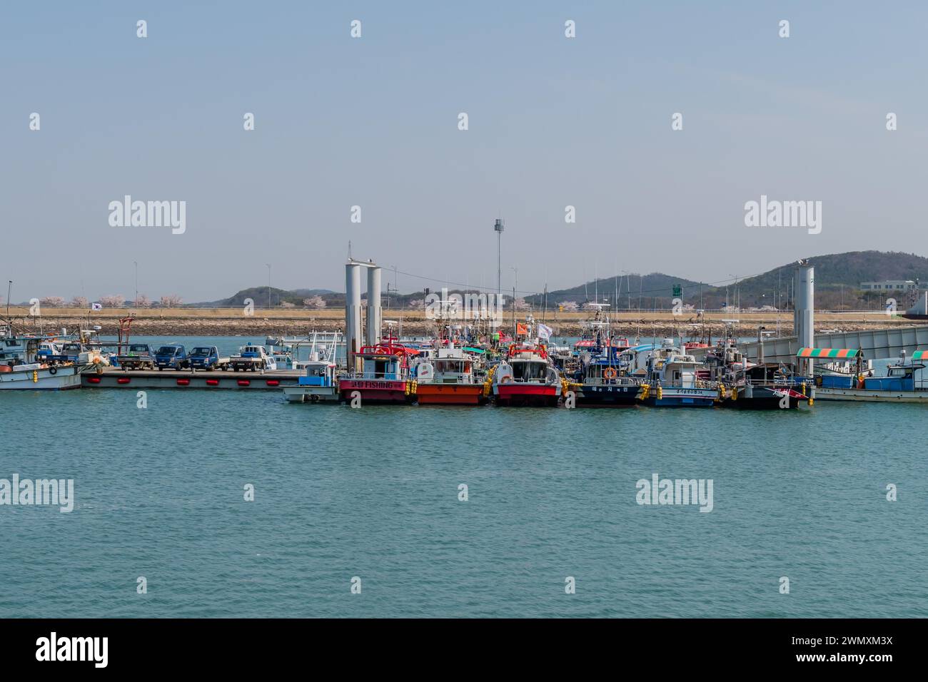 Fishing boats moored to floating dock at Jeongok port in Pyeongtaek ...