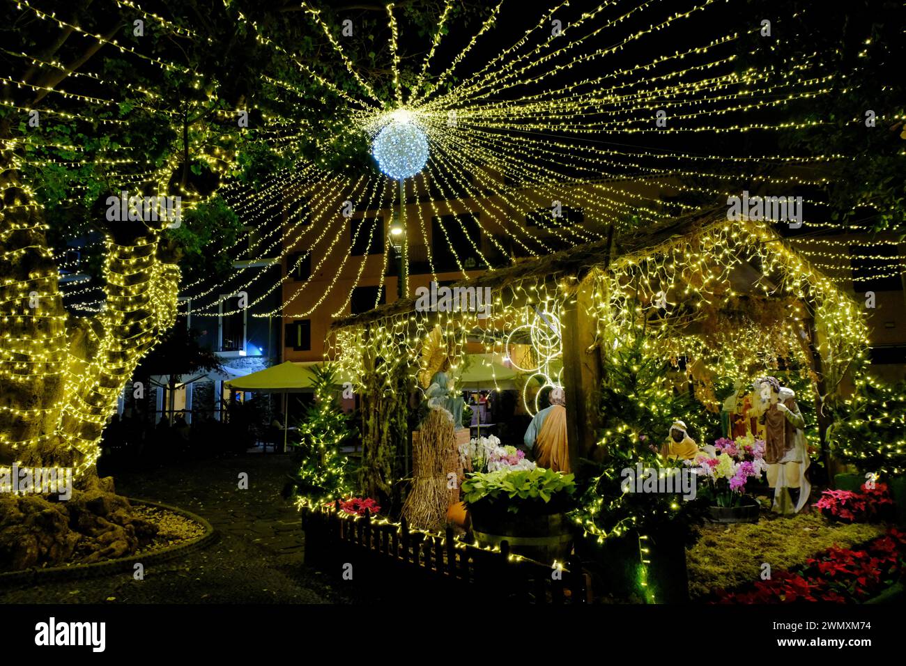 Christmas lights, illuminated nativity scene scene, illuminated trees ...