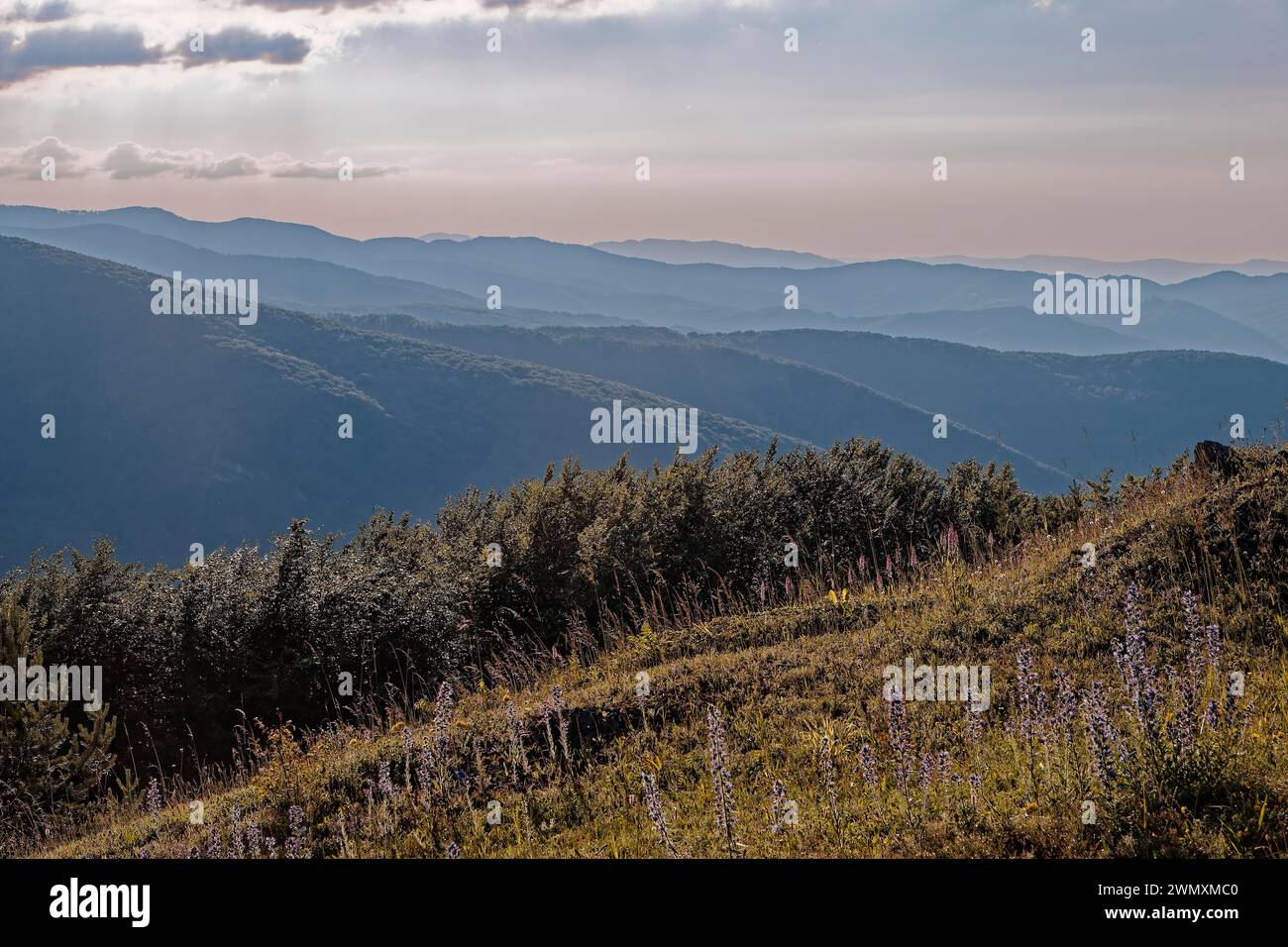 Mountain landscape of the Balkan Mountains and the forested slopes of ...