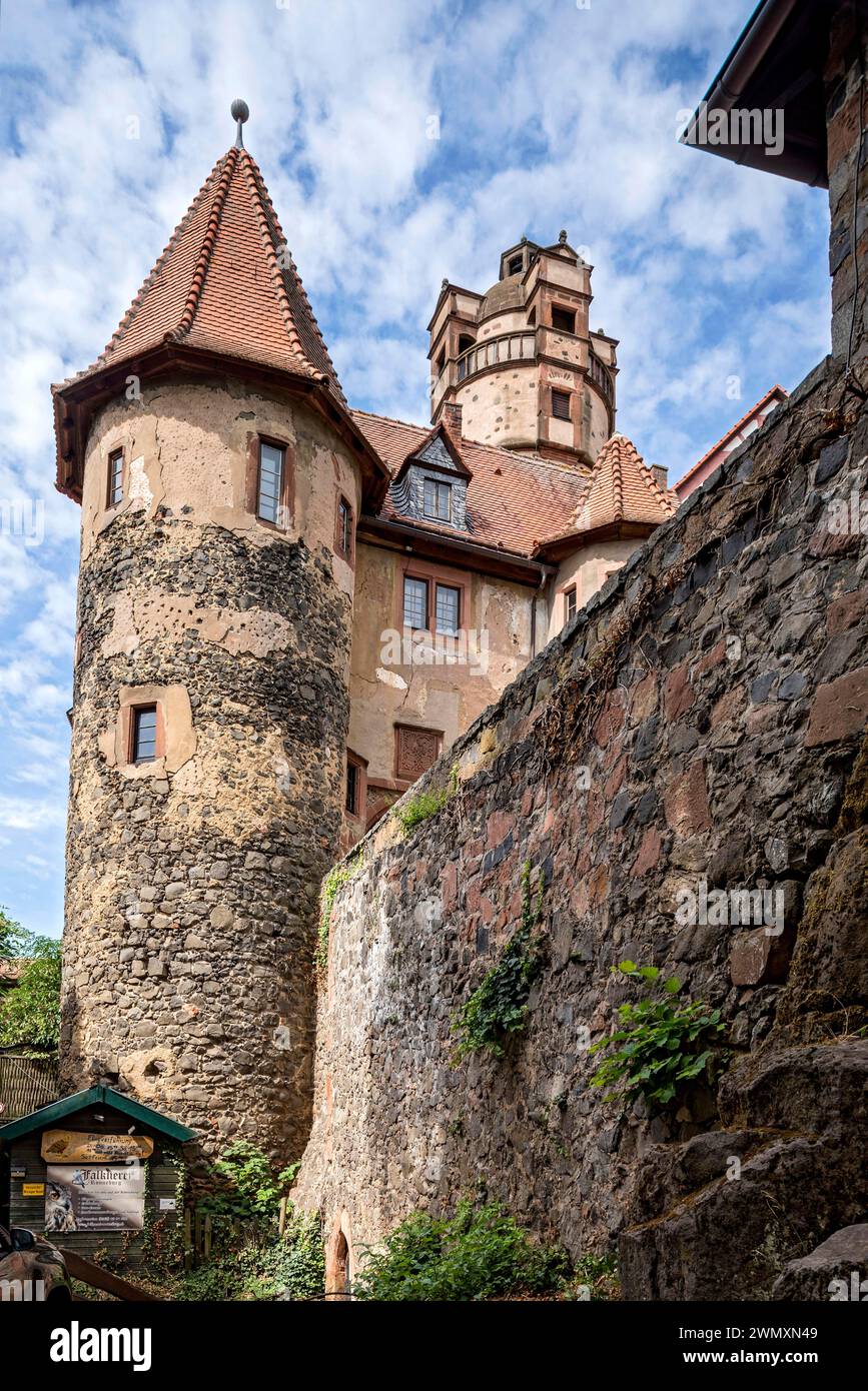 Turret of the 3rd gatehouse, bridge over the moat, moat, keep ...