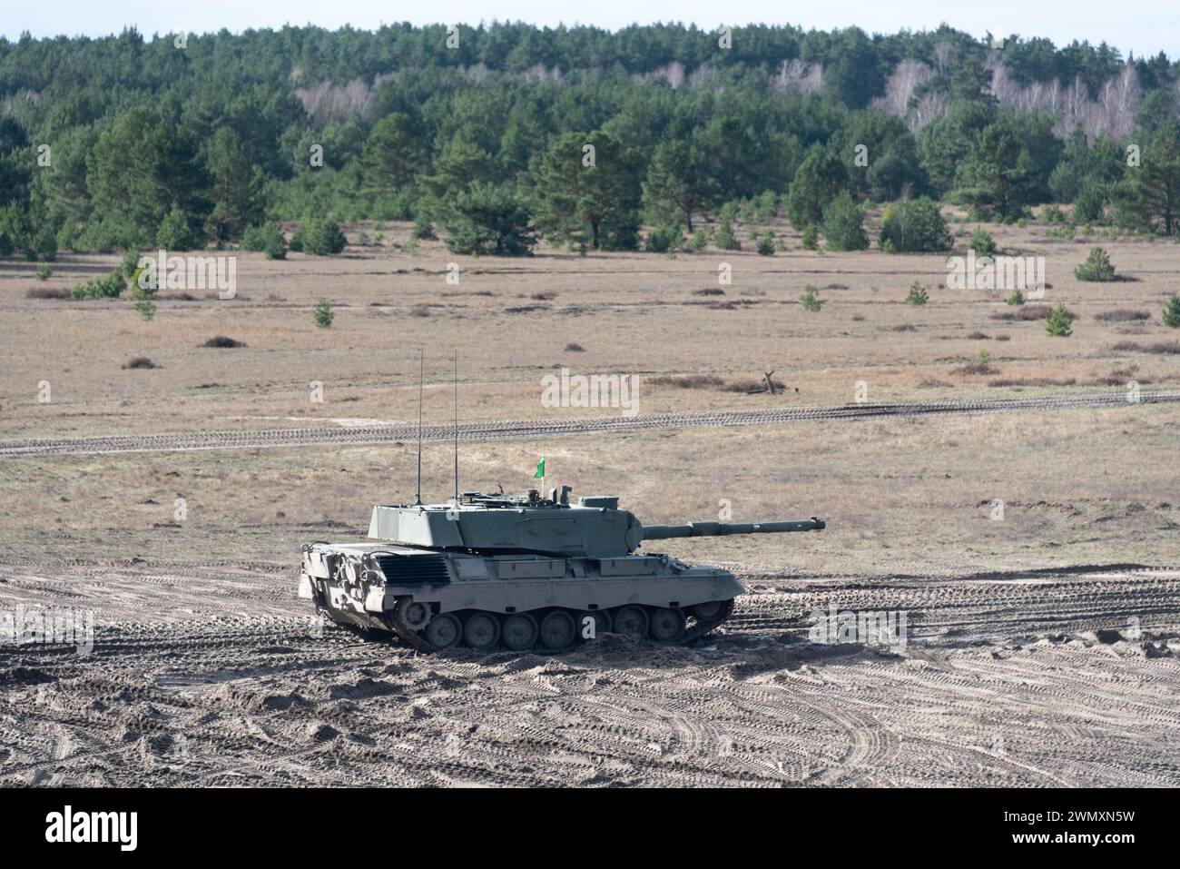 A Leopard 1 tank drives through a sandy landscape with pine forests in ...