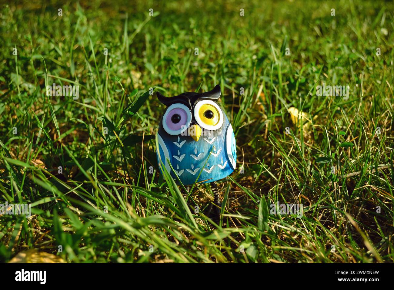 A toy of a surprised blue-colored owl with multi-colored eyes close-up ...