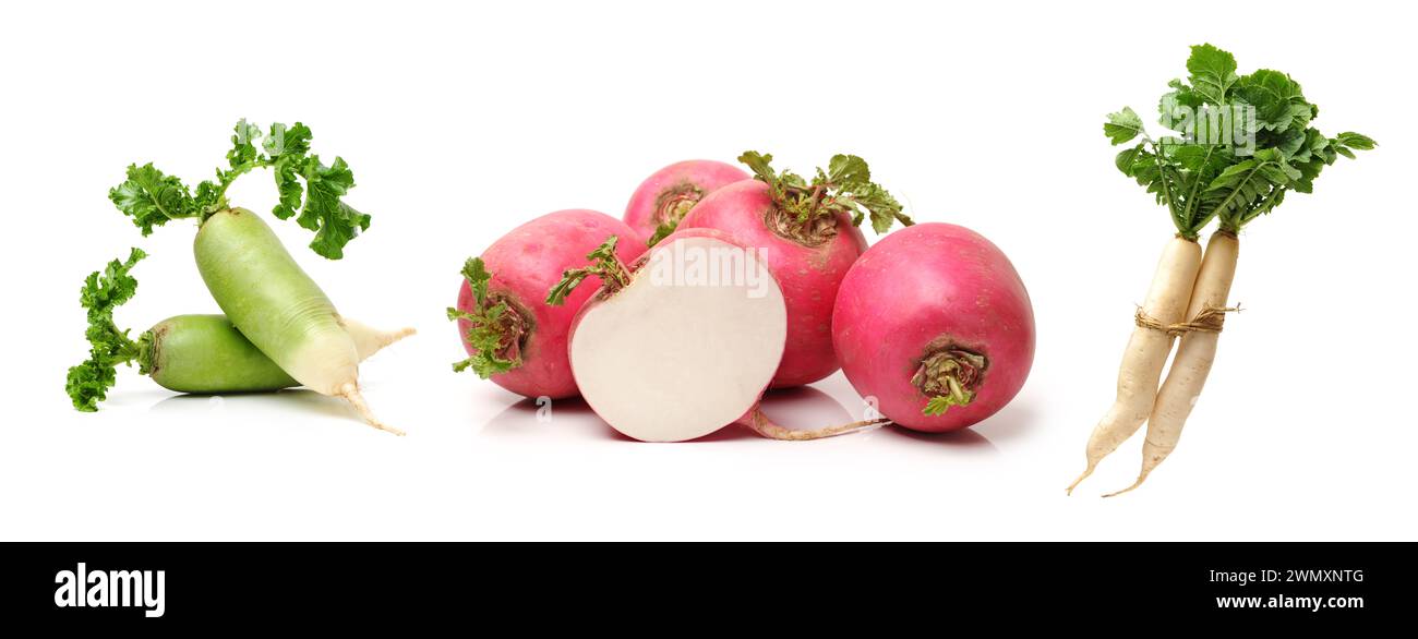 Radish red raphanus sativus Cut Out Stock Images & Pictures - Alamy
