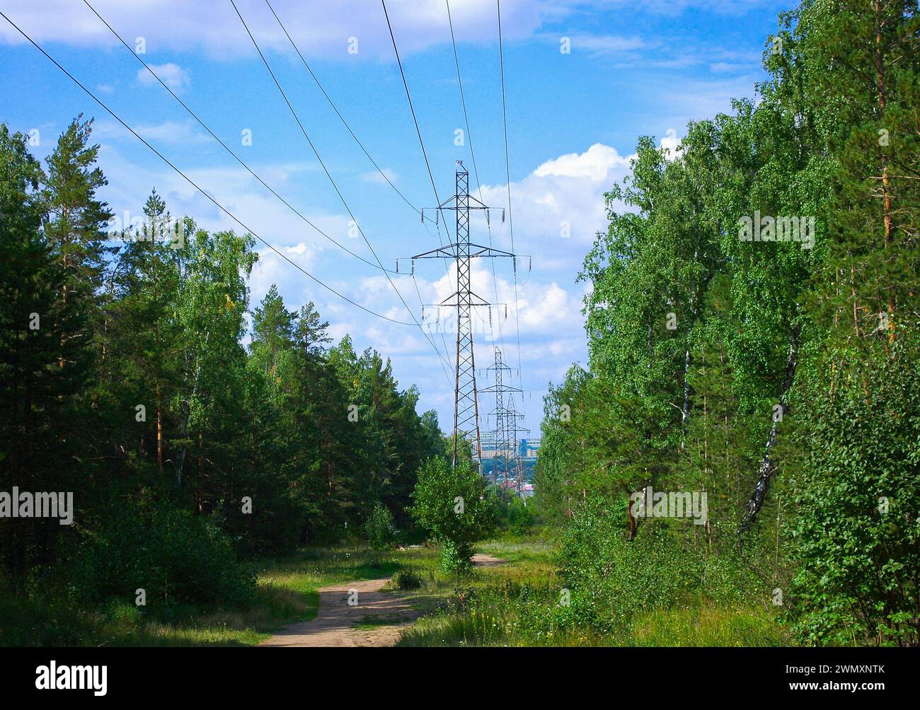 Tower power lines in forest hi-res stock photography and images - Alamy