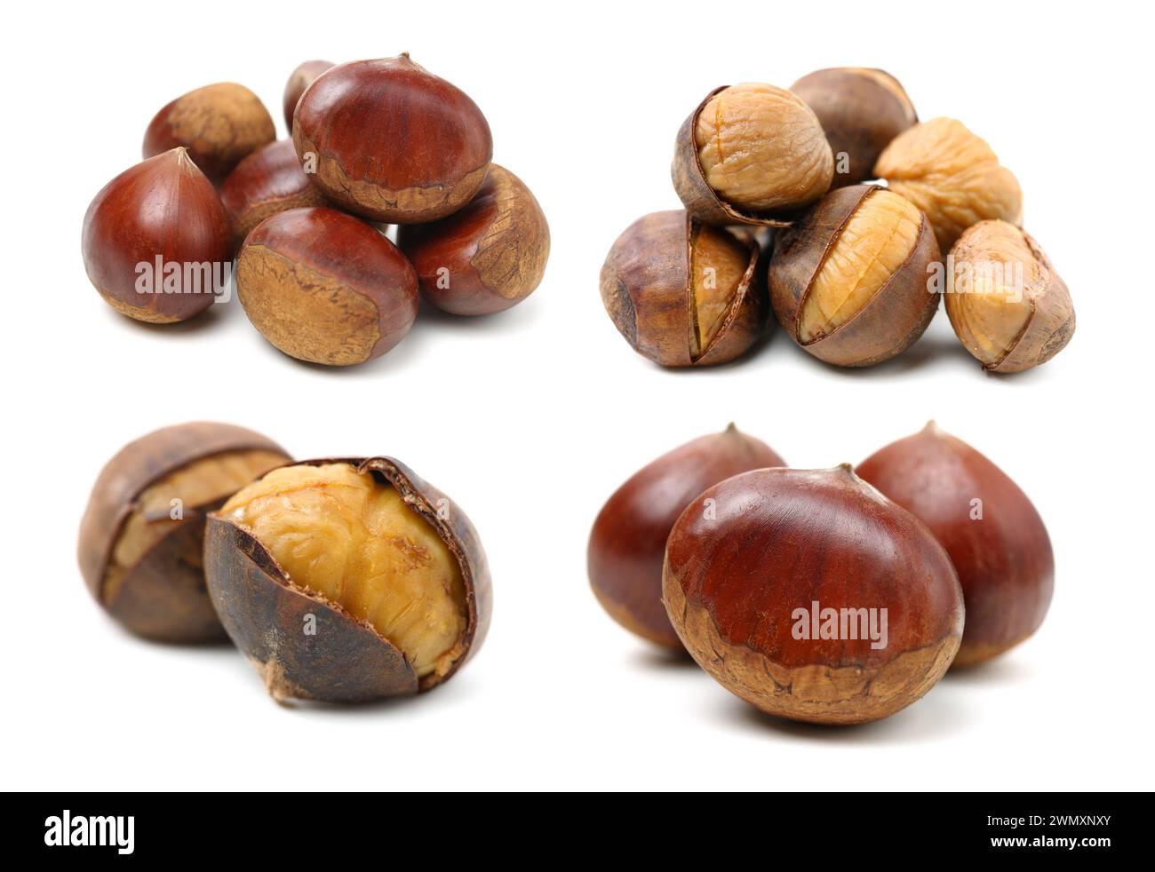 White chestnu hi-res stock photography and images - Alamy