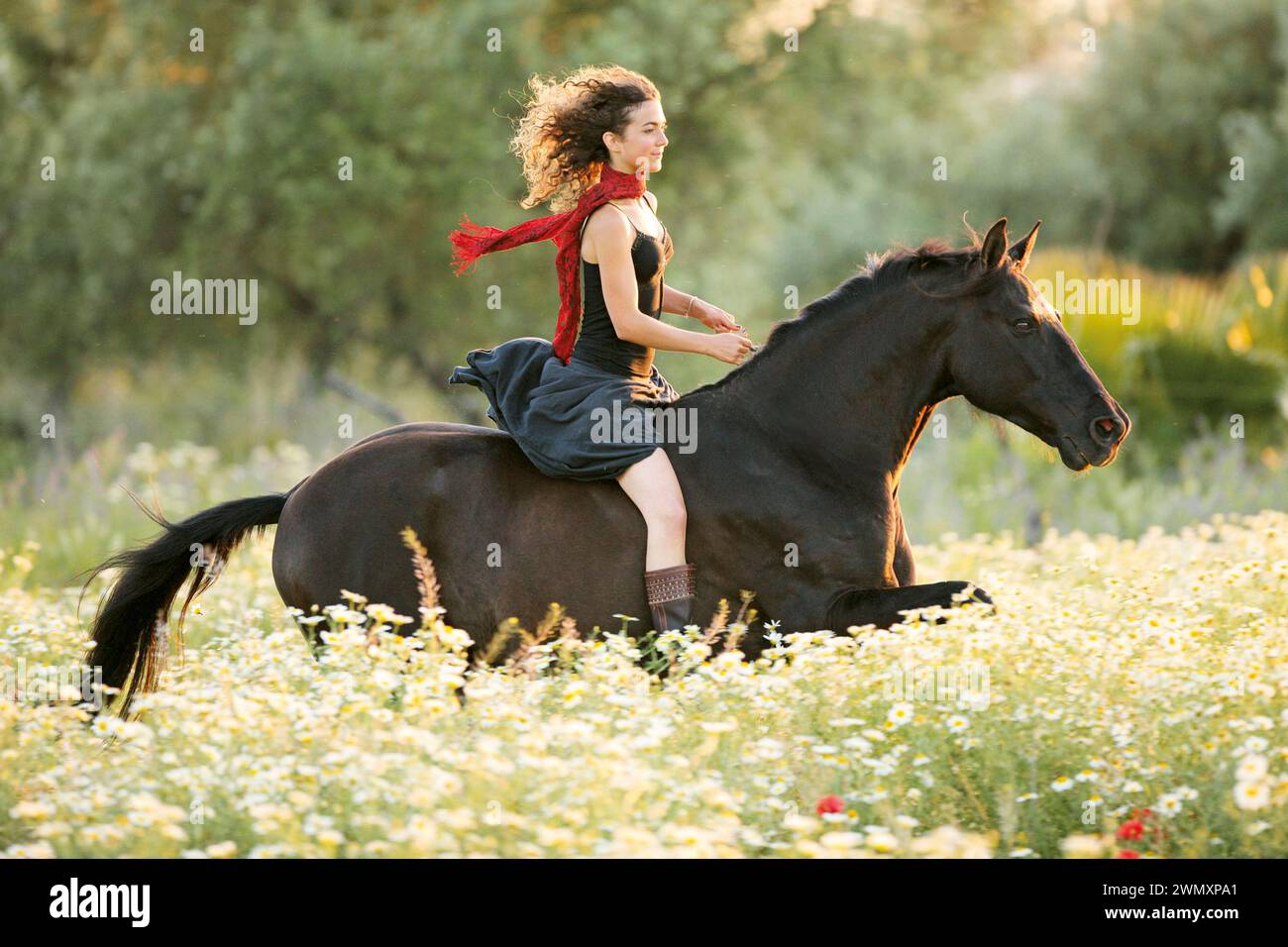 Buena suerte animal hi-res stock photography and images - Alamy