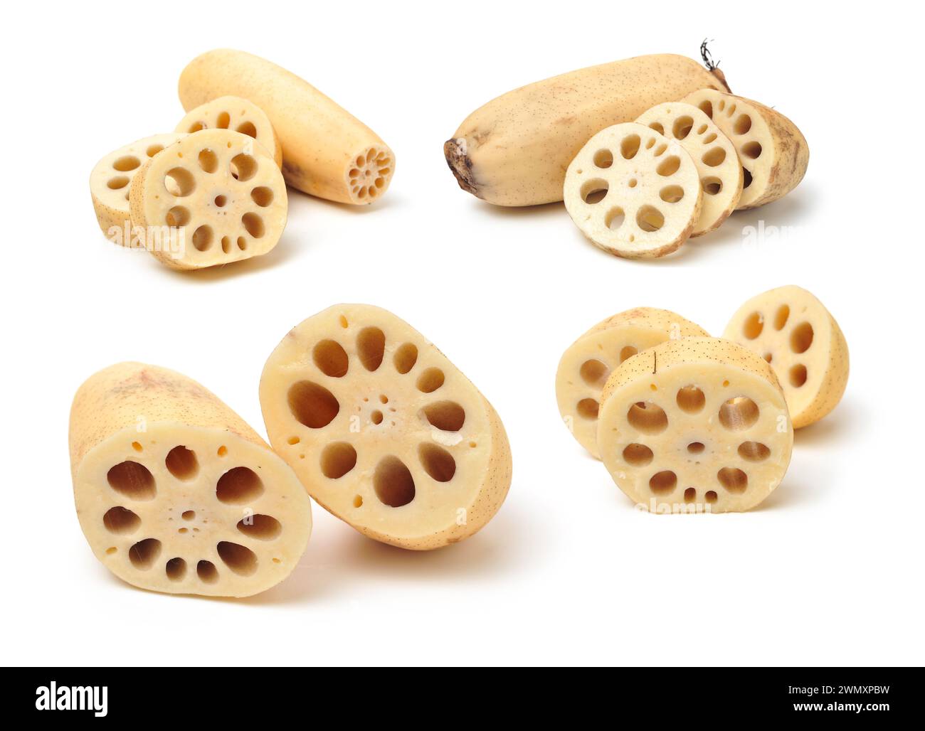 Lotus root on the white background Stock Photo - Alamy