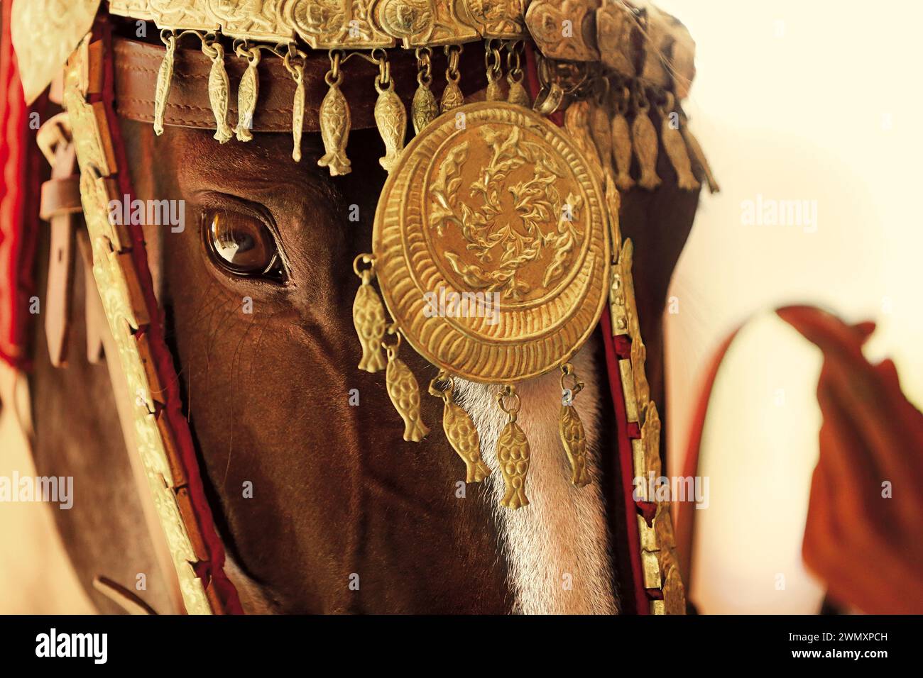 Mawari hi-res stock photography and images - Alamy