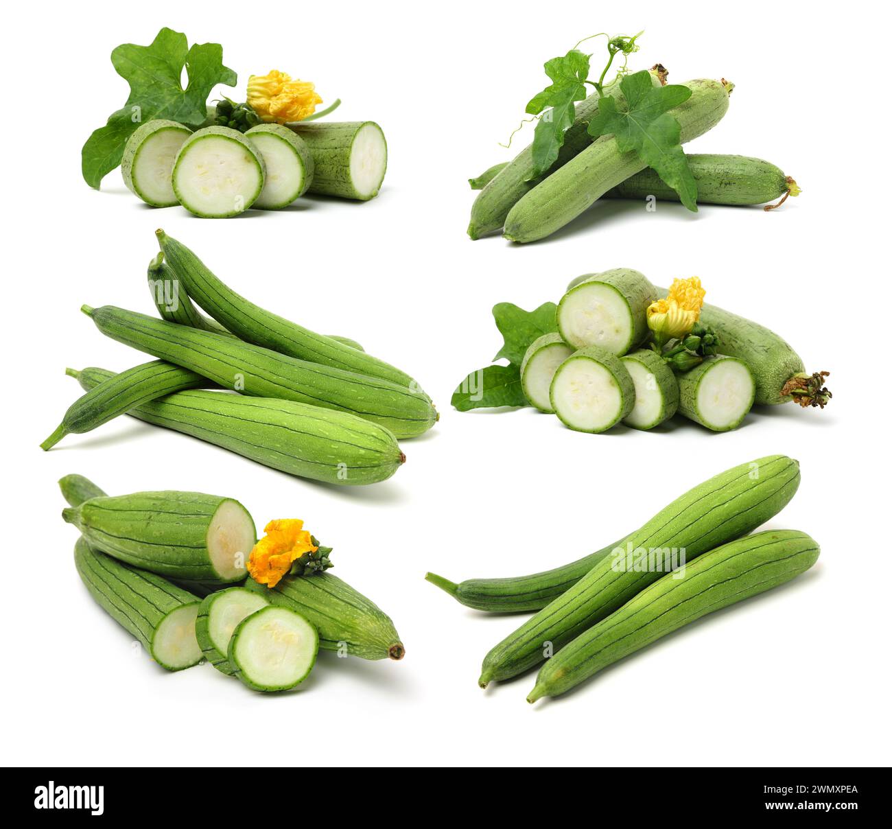 fresh loofah on the white background Stock Photo - Alamy