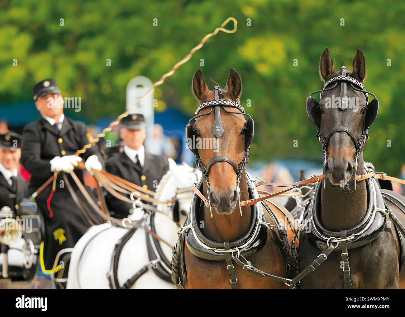 Four hand driver hi-res stock photography and images - Alamy