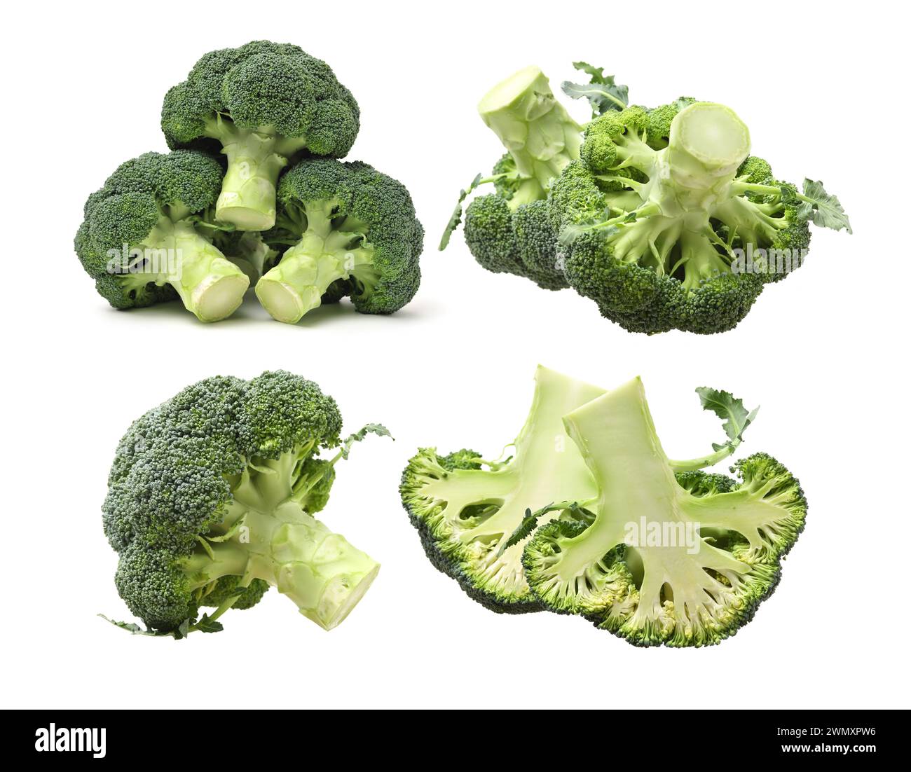 Broccoli vegetable on white background Stock Photo - Alamy