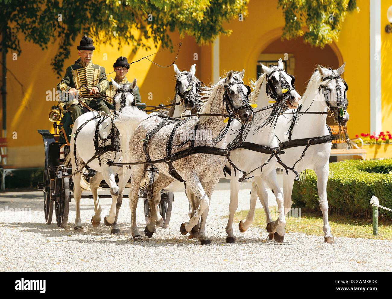 Hungary horse carriage hi-res stock photography and images - Alamy