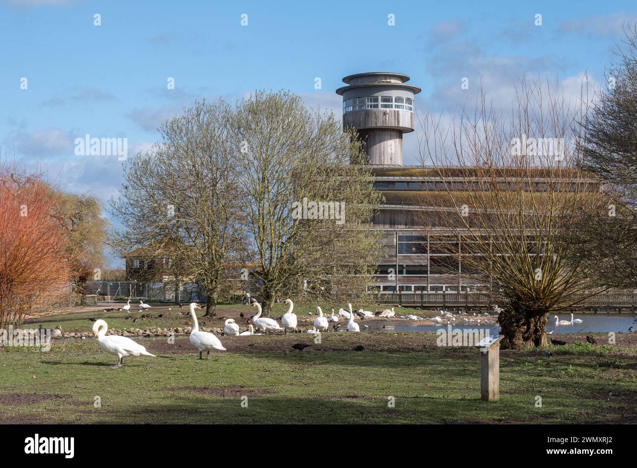 WWT Slimbridge Wetland Centre, view of the Wildfowl and Wetlands Trust ...