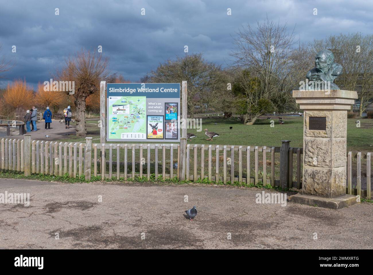 WWT Slimbridge Wetland Centre, view of the Wildfowl and Wetlands Trust ...