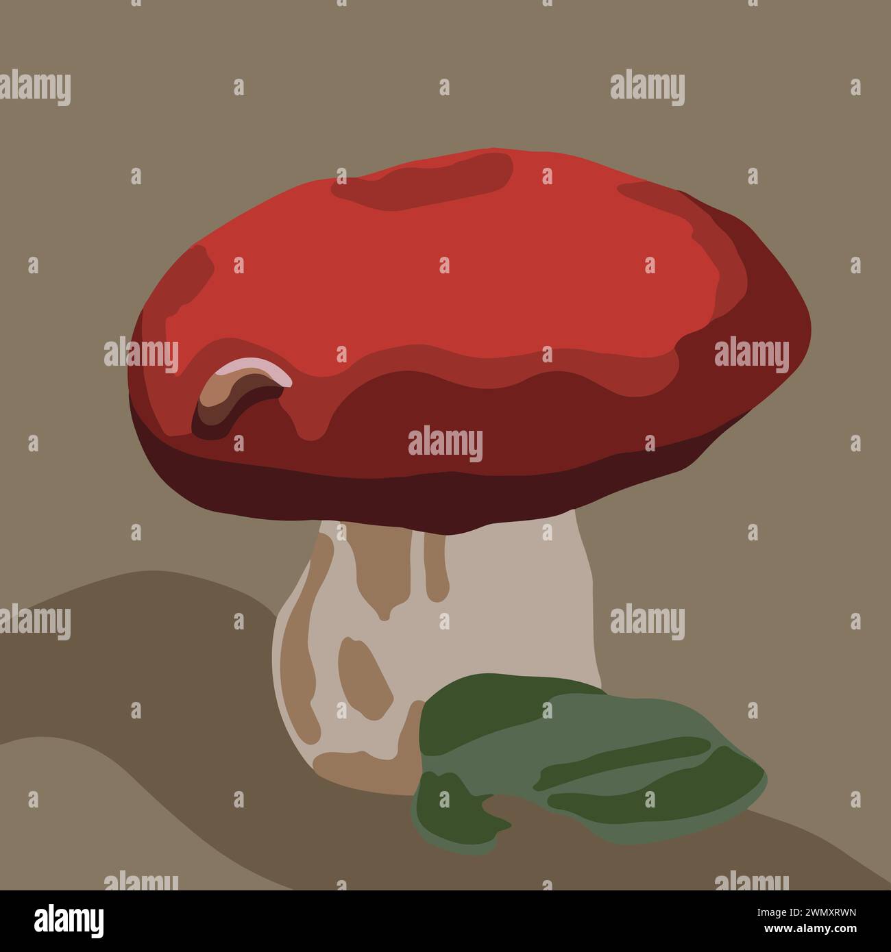Forest mushroom porcini leaves Stock Vector Images - Alamy