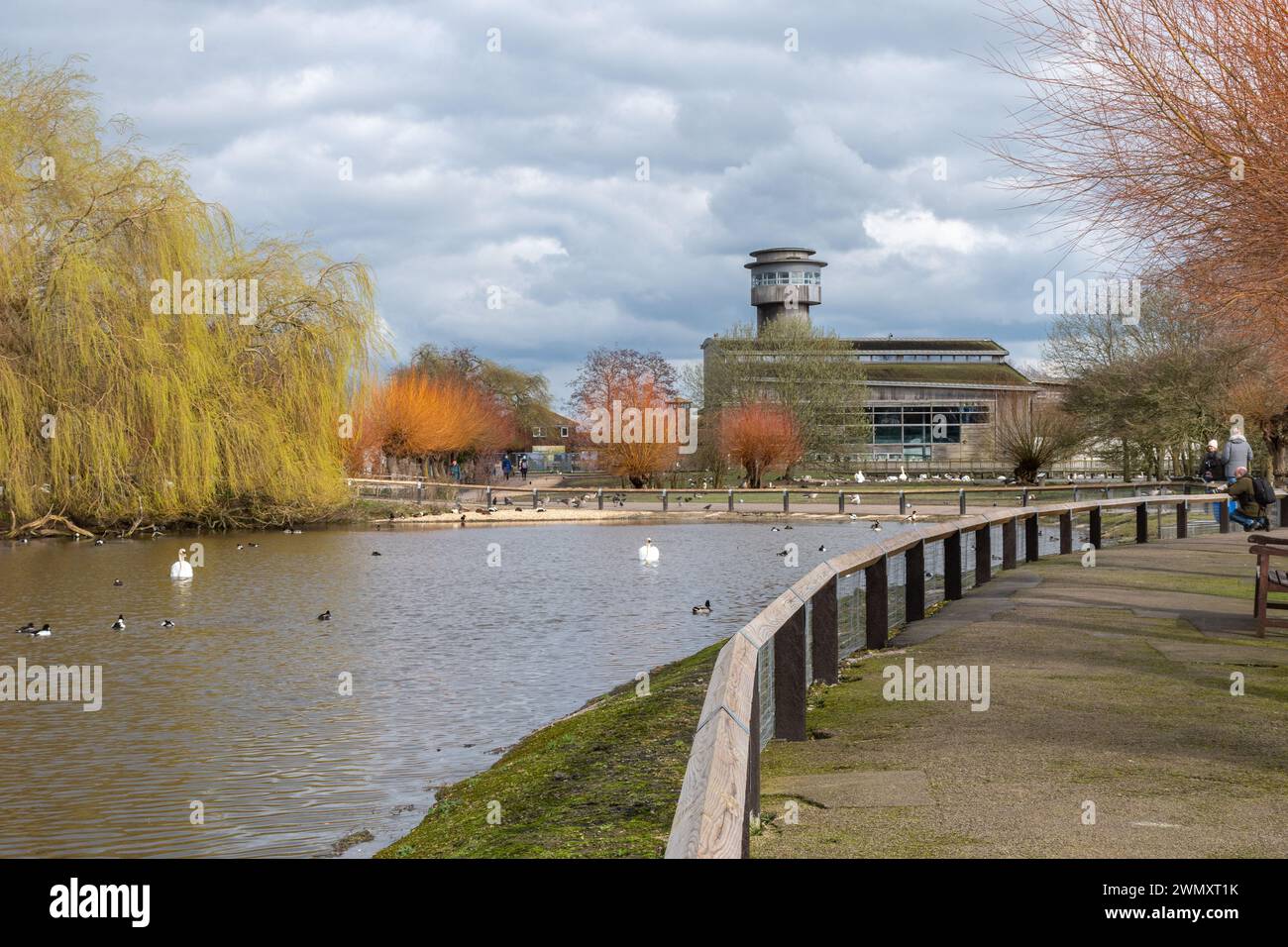 WWT Slimbridge Wetland Centre, view of the Wildfowl and Wetlands Trust ...
