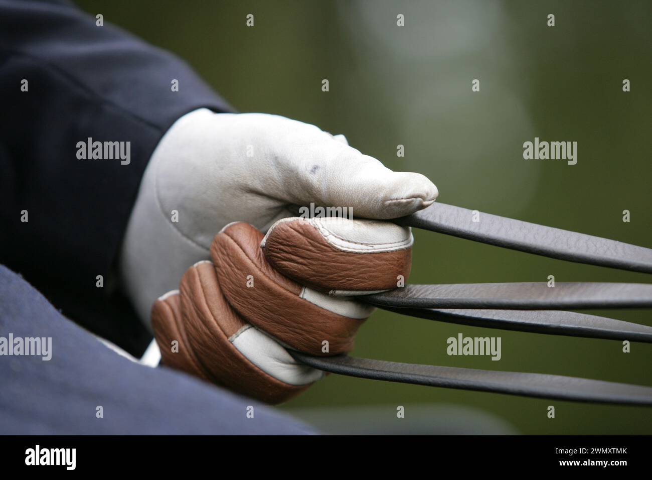 Detail of hands holding driving reins Stock Photo - Alamy