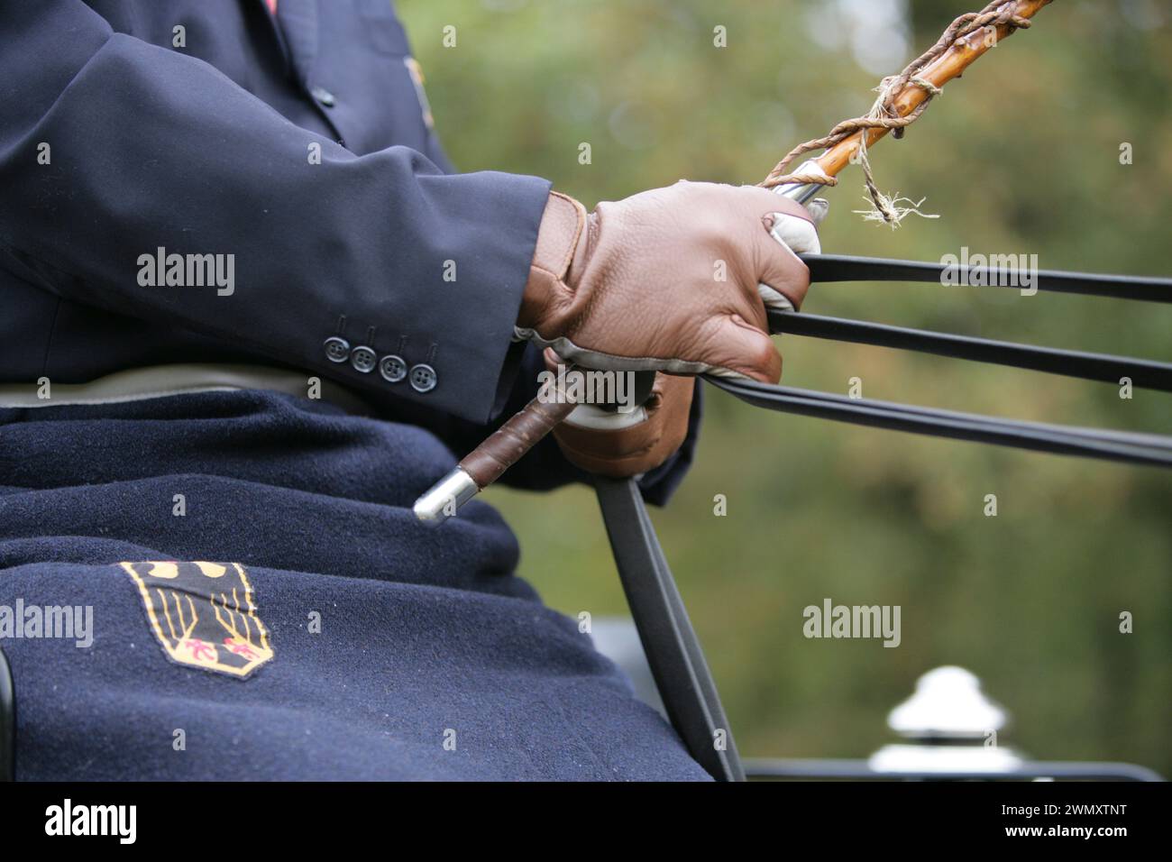 Detail of hands holding driving reins Stock Photo - Alamy